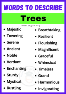 20+ Best Words to Describe a Trees, Adjectives for Trees - EngDic