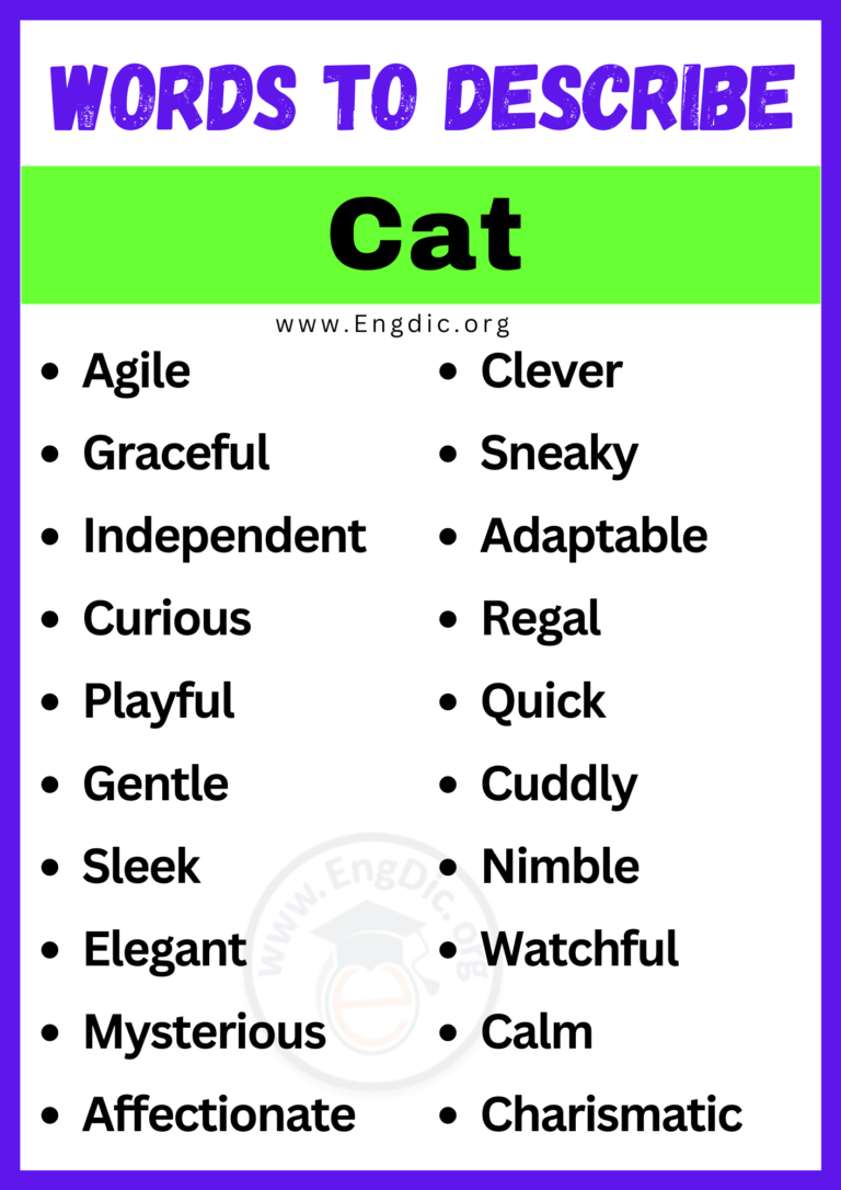 20 Best Words To Describe Cat Adjectives For Cat EngDic