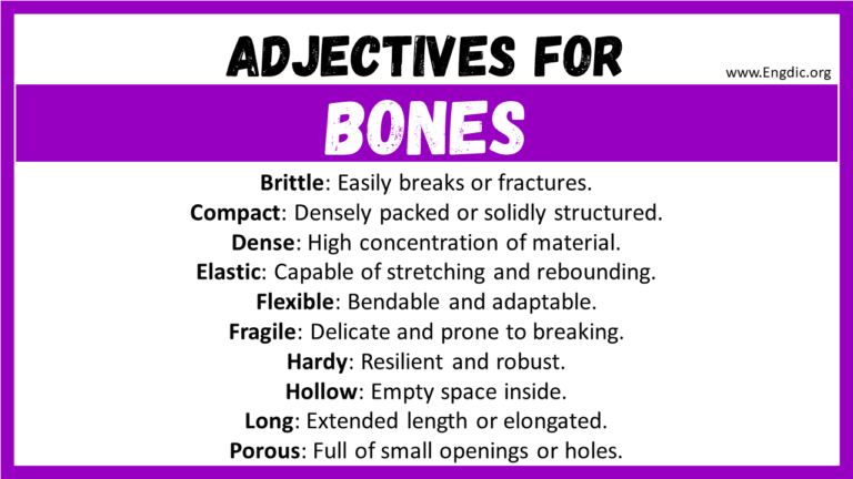 20+ Best Words to Describe Bones, Adjectives for Bones - EngDic