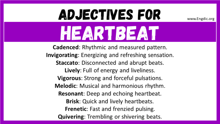 20+ Best Words to Describe Heartbeat, Adjectives for Heartbeat - EngDic