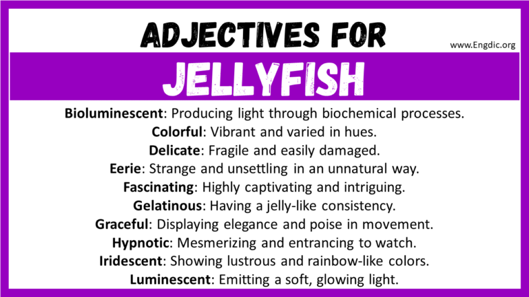 20+ Best Words to Describe Jellyfish, Adjectives for Jellyfish - EngDic