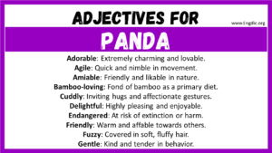 20+ Best Words to Describe Panda, Adjectives for Panda - EngDic