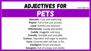 20+ Best Words to Describe Pets, Adjectives for Pets - EngDic