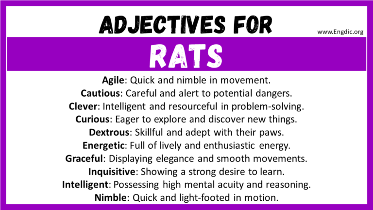 20+ Best Words to Describe Rats, Adjectives for Rats - EngDic