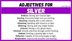 20+ Best Words to Describe Silver, Adjectives for Silver - EngDic