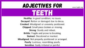 20+ Best Words to Describe Teeth, Adjectives for Teeth - EngDic