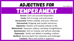 20+ Best Words to Describe Temperament, Adjectives for Temperament - EngDic