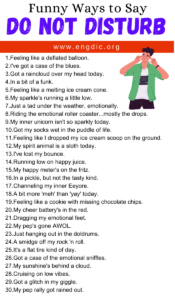 30 Funny Ways to Say Do Not Disturb - EngDic