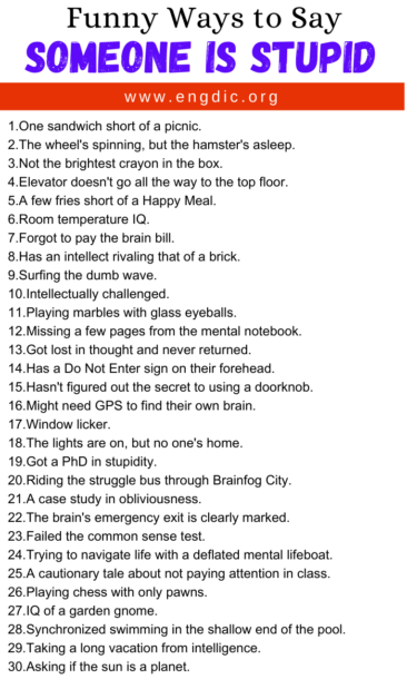 30 Funny Ways to Say Someone Is Stupid - EngDic