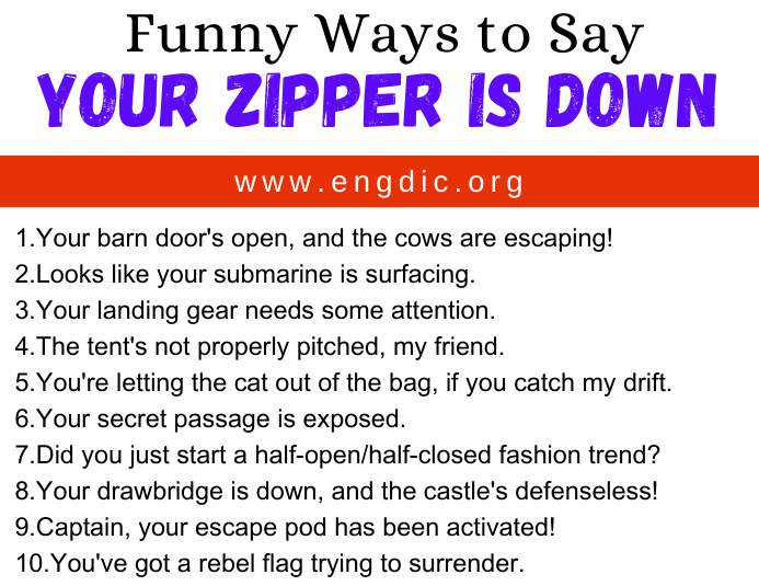 30 Funny Ways to Say Your Zipper Is Down - EngDic