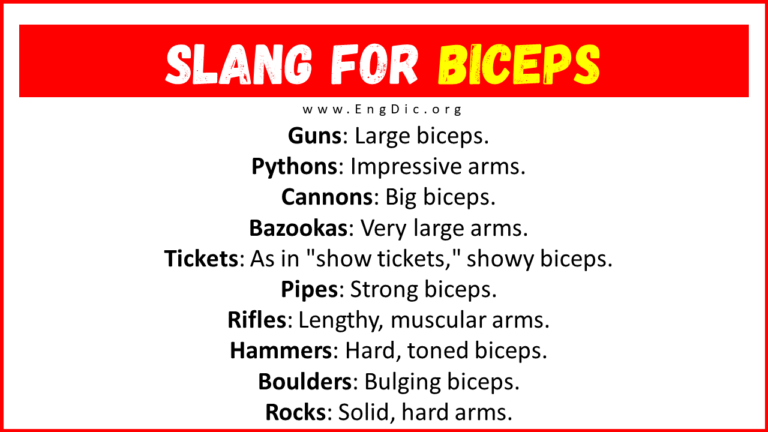 20+ Slang for Biceps (Their Uses & Meanings) - EngDic