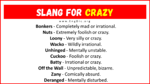 20+ Slang for Crazy (Their Uses & Meanings) - EngDic