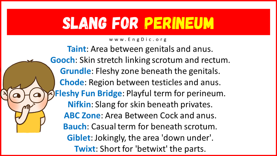 30+ Slang for Perineum (Their Uses & Meanings) - EngDic