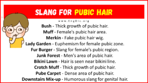 30+ Slang for Pubic Hair (Their Uses & Meanings) - EngDic