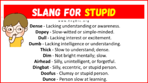 30+ Slang for Stupid (Their Uses & Meanings) - EngDic