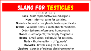 30+ Slang for Testicles (Their Uses & Meanings) - EngDic