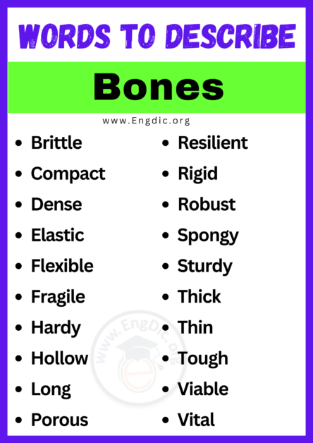 20+ Best Words to Describe Bones, Adjectives for Bones - EngDic