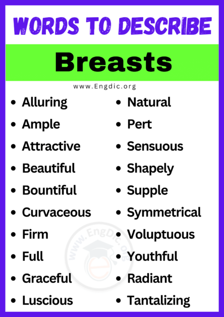 20+ Best Words to Describe Breasts, Adjectives for Breasts - EngDic