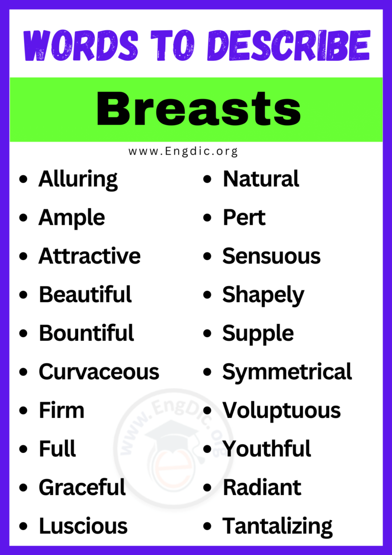 20+ Best Words to Describe Breasts, Adjectives for Breasts - EngDic