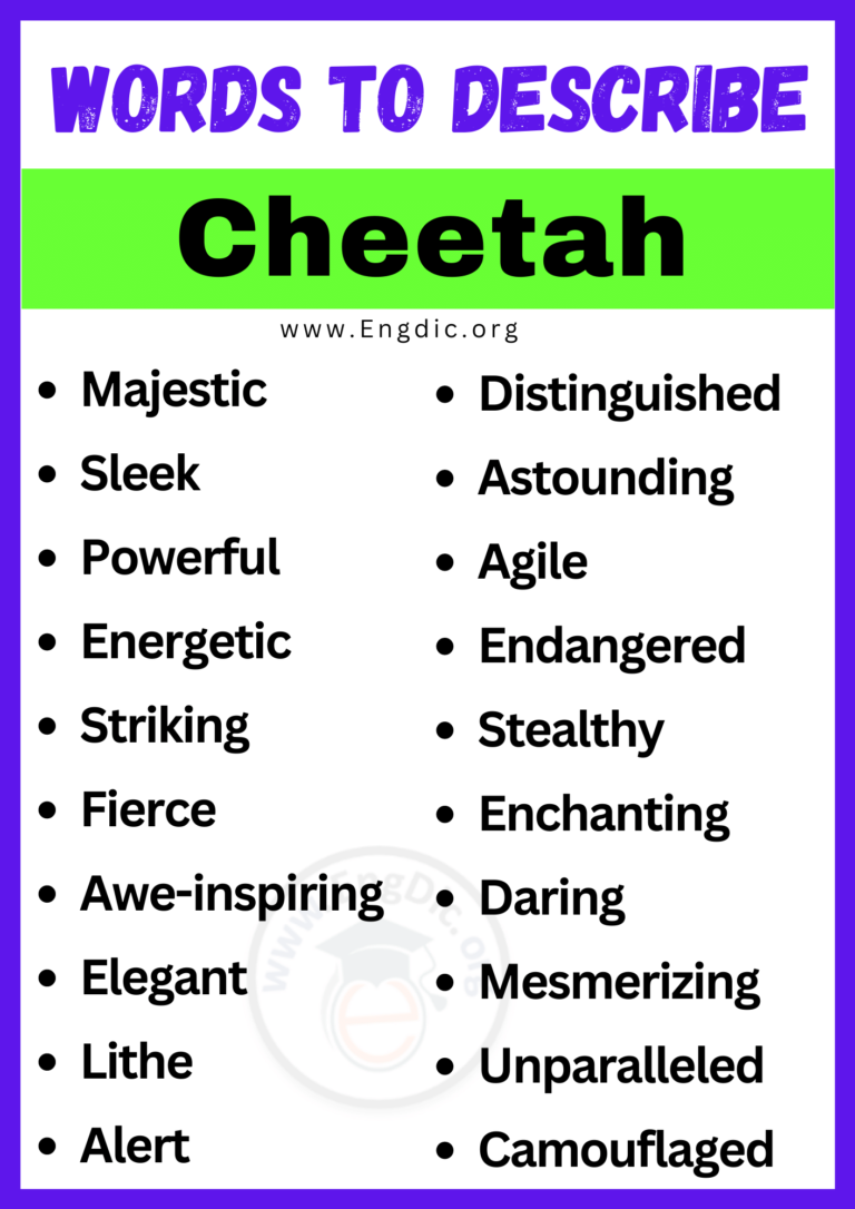 20+ Best Words to Describe Cheetah, Adjectives for Cheetah - EngDic