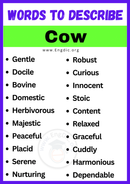 20+ Best Words to Describe Cow, Adjectives for Cow - EngDic