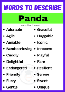 20+ Best Words to Describe Panda, Adjectives for Panda - EngDic