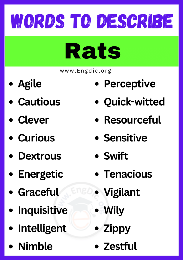 20+ Best Words to Describe Rats, Adjectives for Rats - EngDic