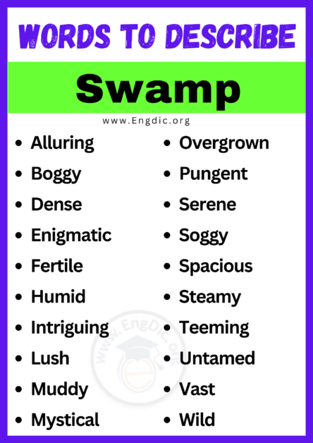 20+ Best Words to Describe Swamp, Adjectives for Swamp - EngDic
