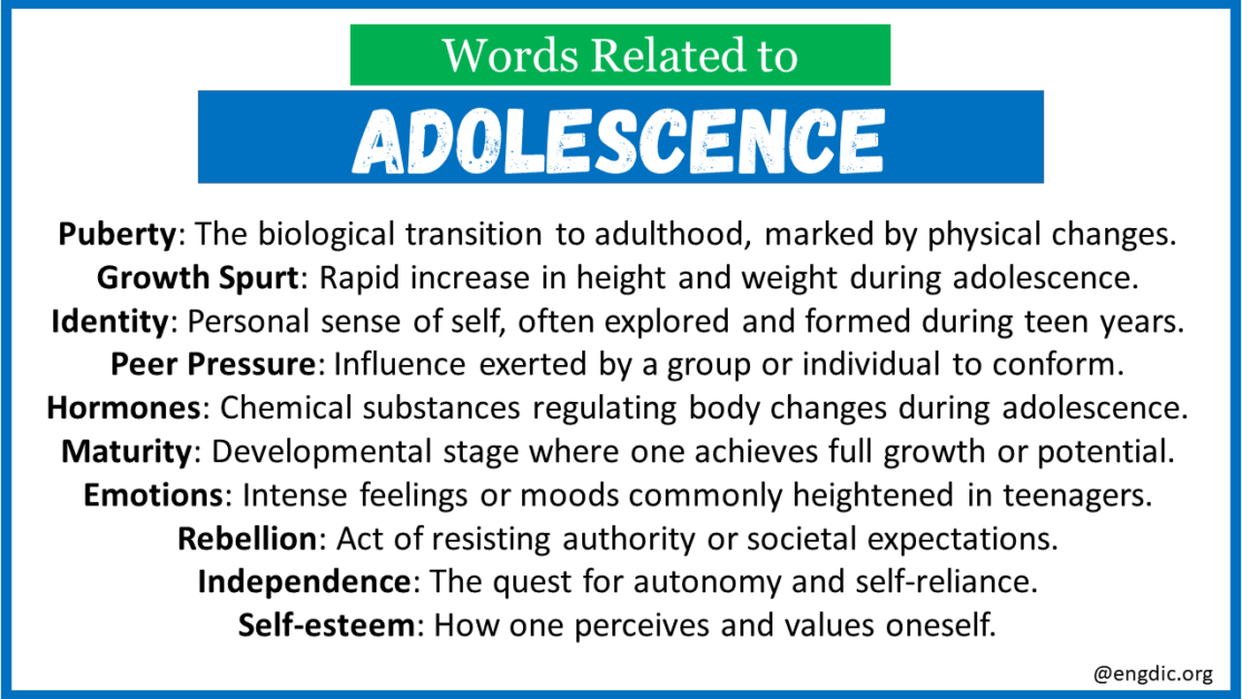 Top 30 Words Related to Adolescence - EngDic