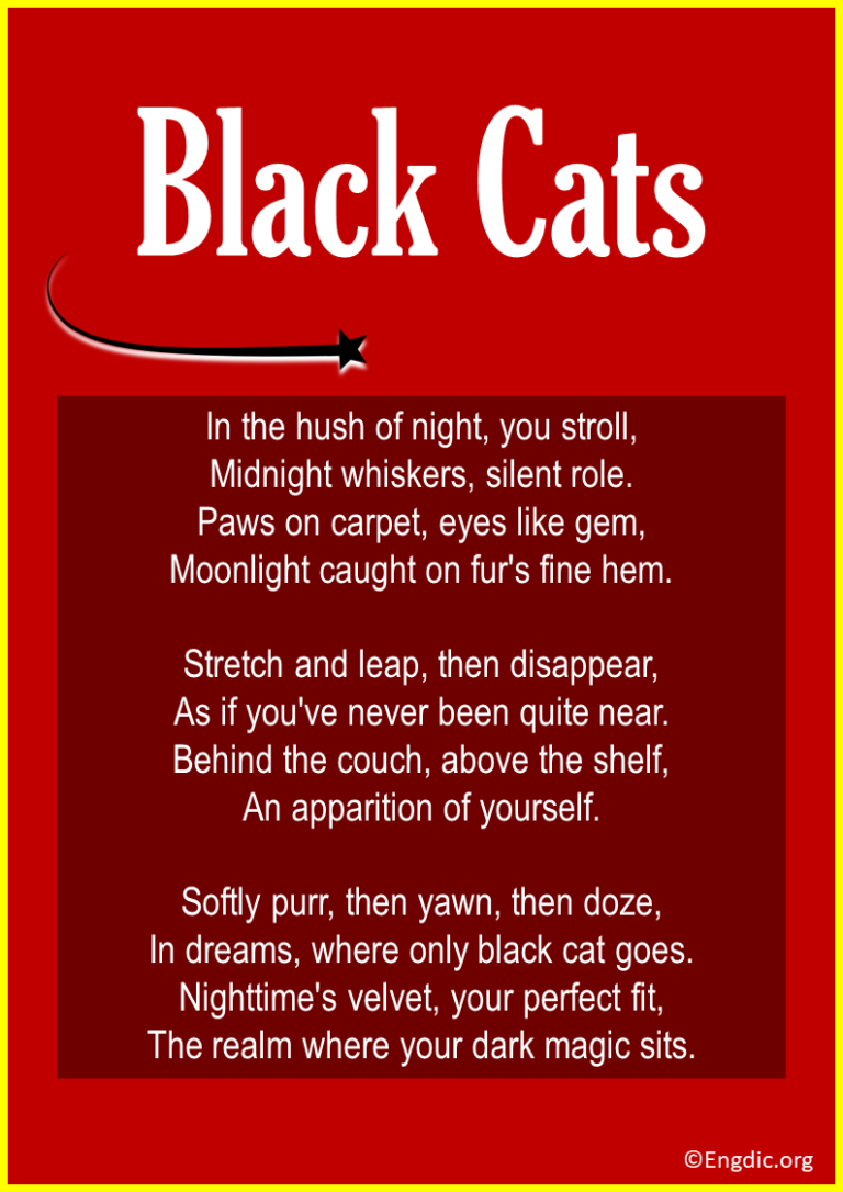 15+ Short & Funny Poems about Black Cats - EngDic