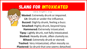 20+ Slang for Intoxicated (Their Uses & Meanings) - EngDic
