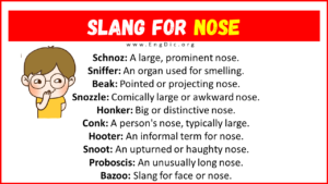 20+ Slang for Nose (Their Uses & Meanings) - EngDic