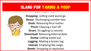 20 Slang for Taking a Poop (2024) - EngDic