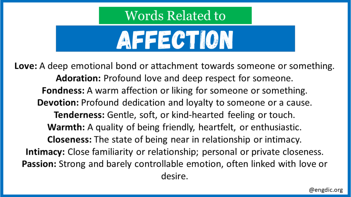 Top 30 Words Related to Affection - EngDic