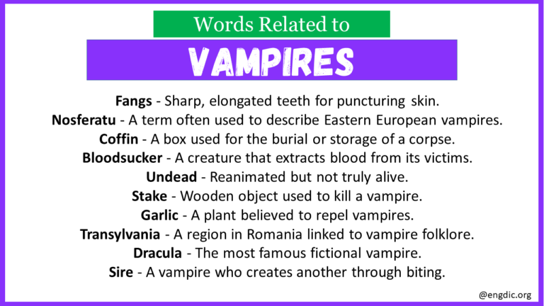 Top 30 Words Related to Vampires - EngDic