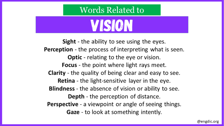 Top 30 Words Related to Vision - EngDic