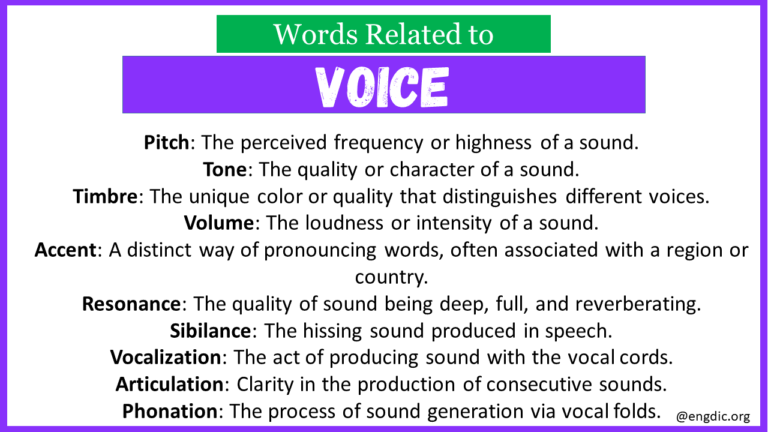 Top 30 Words Related to Voice - EngDic