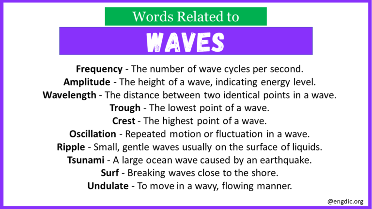 Top 30 Words Related to Waves - EngDic