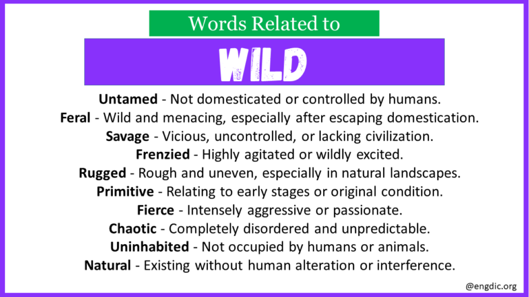 Top 30 Words Related to Wild - EngDic