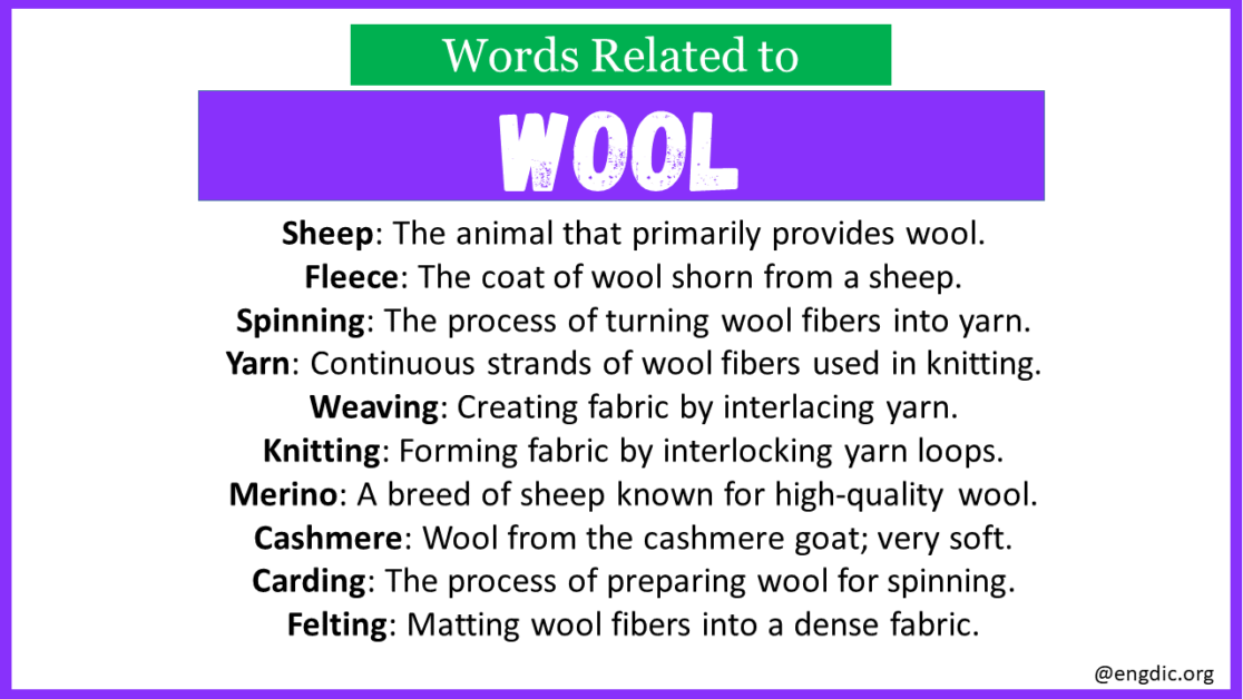 Top 30 Words Related to Wool - EngDic
