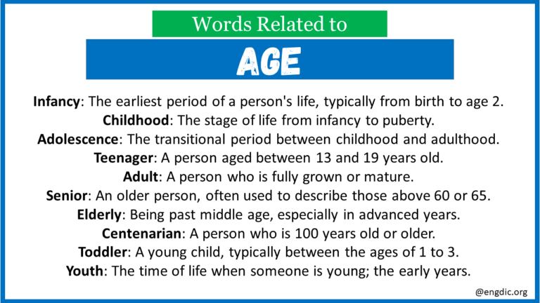 Top 30 Words Related to Age - EngDic