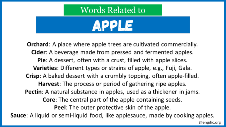 Top 30 Words Related to Apple - EngDic
