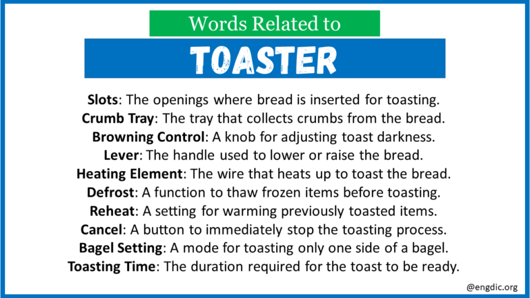Top 30 Words Related to Toaster - EngDic