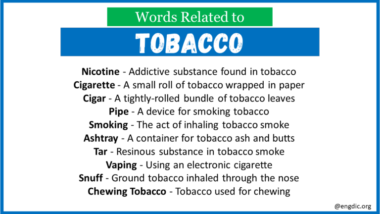 Top 30 Words Related to Tobacco - EngDic