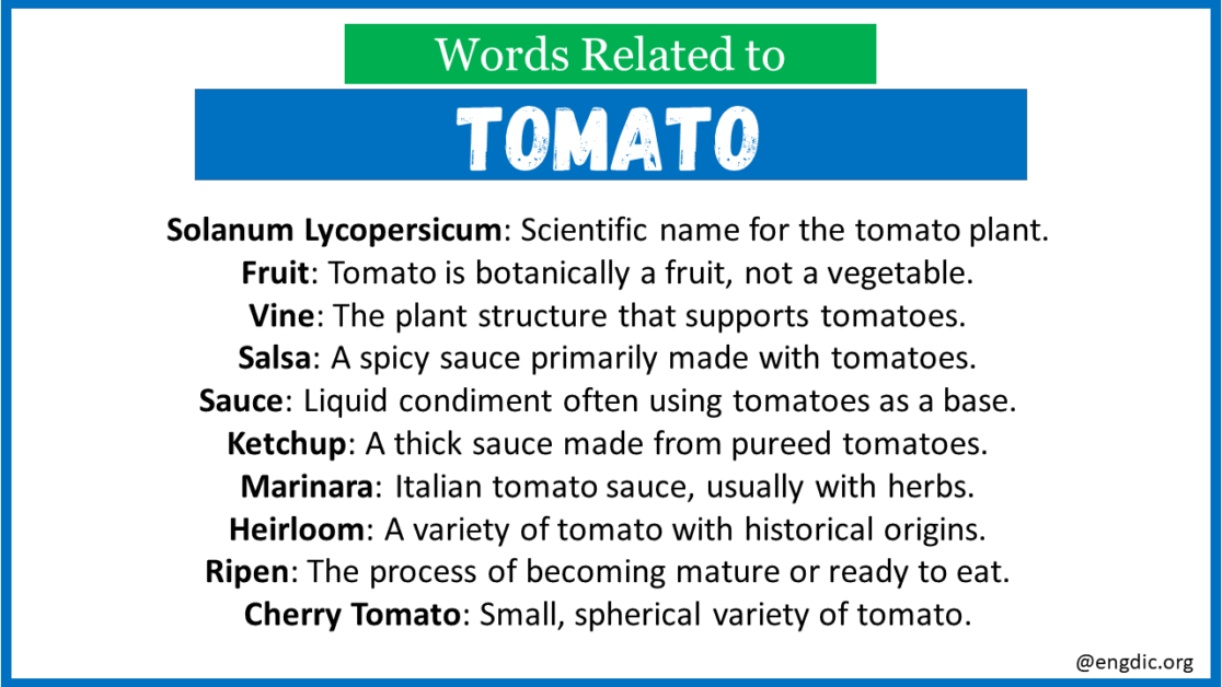 Top 30 Words Related to Tomato - EngDic