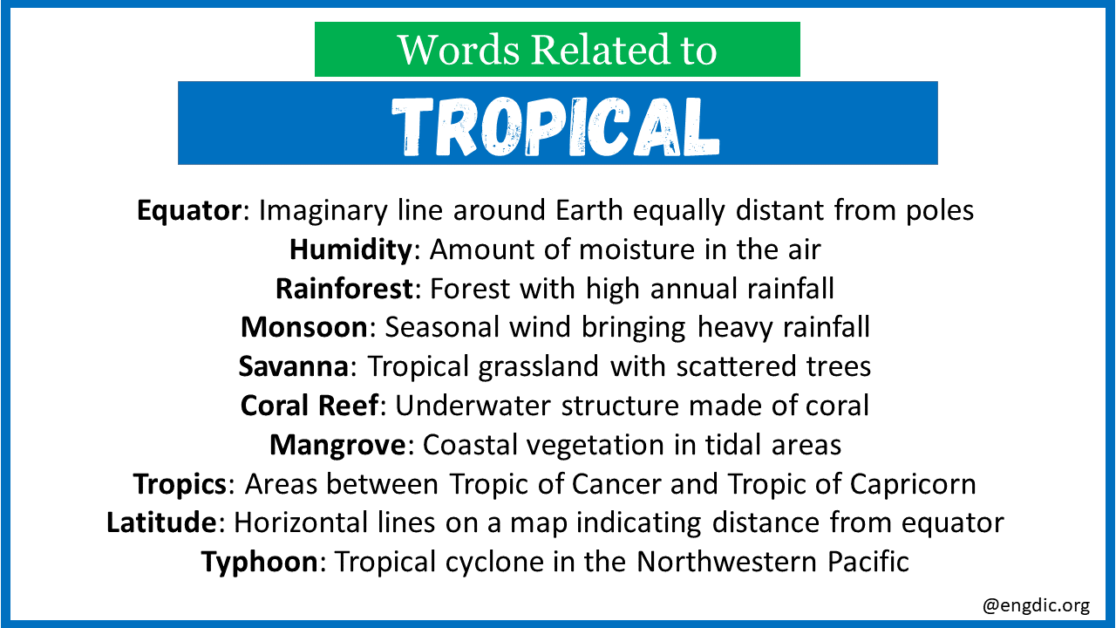 Top 30 Words Related to Tropical - EngDic