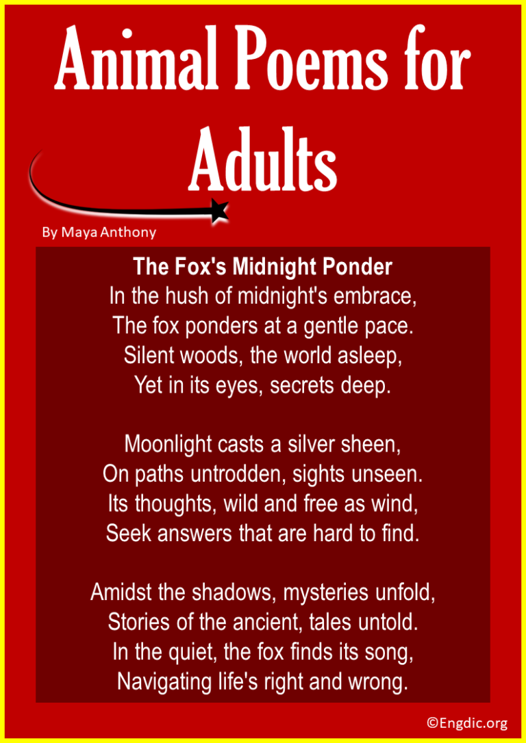 15 Best Short and Funny Poems about Animals - EngDic