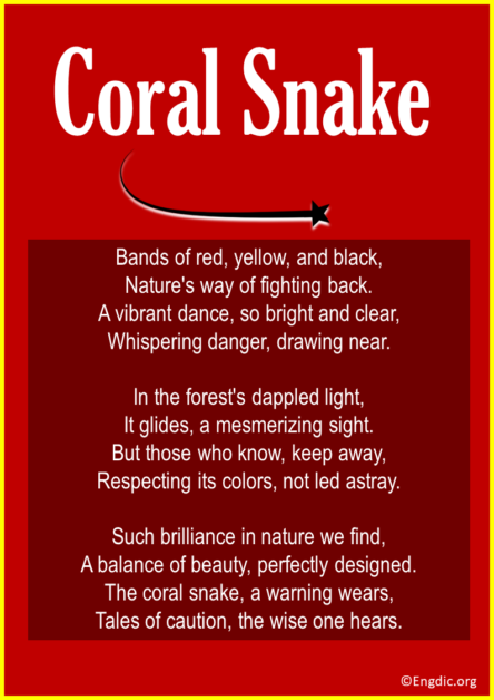 10 Of The Best Poems About Snakes That Rhyme - EngDic