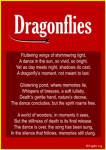 10 Poems About Dragonflies, Death, & Love - EngDic