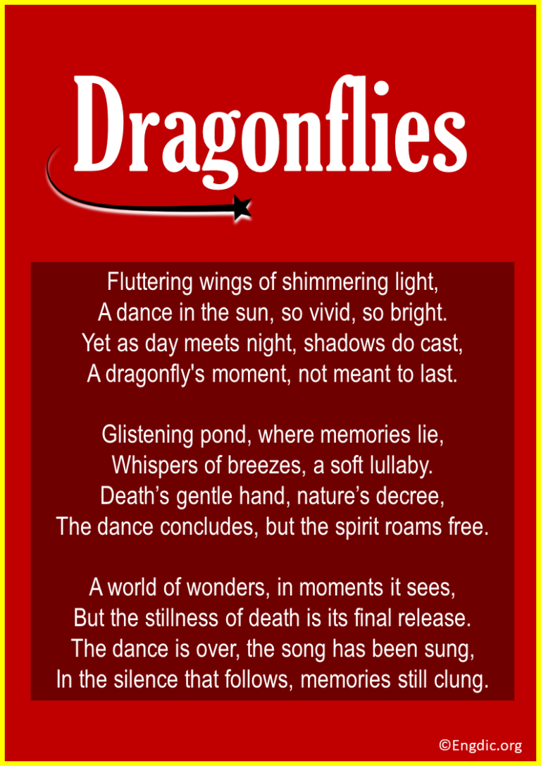 10 Poems About Dragonflies, Death, & Love - EngDic